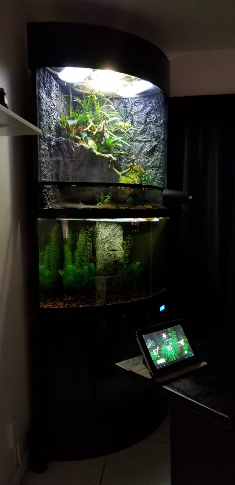 The Complete Guide To An Autonomous DIY Paludarium