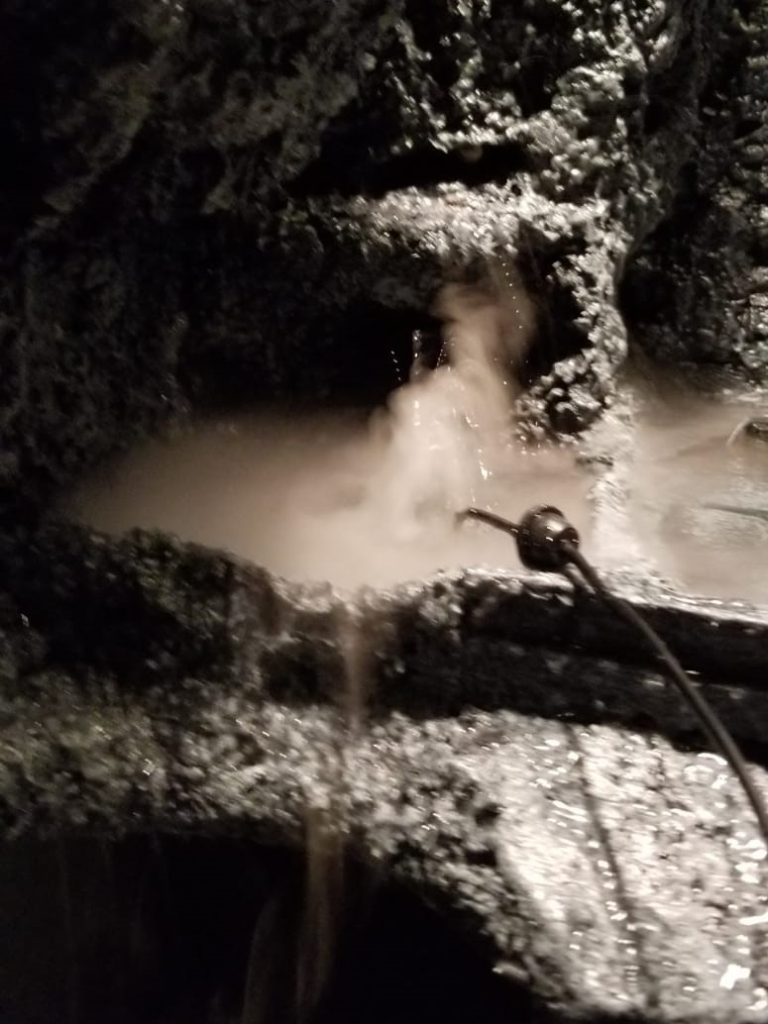 How To Build A Paludarium | The DIY Vivarium Guide | Bantam.Earth