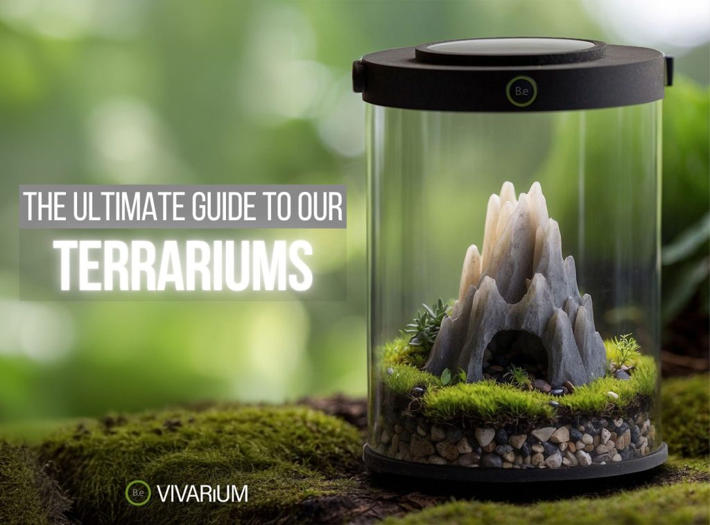 Vivariums 101: A Complete Guide To A Self-Sustaining Ecosystem!