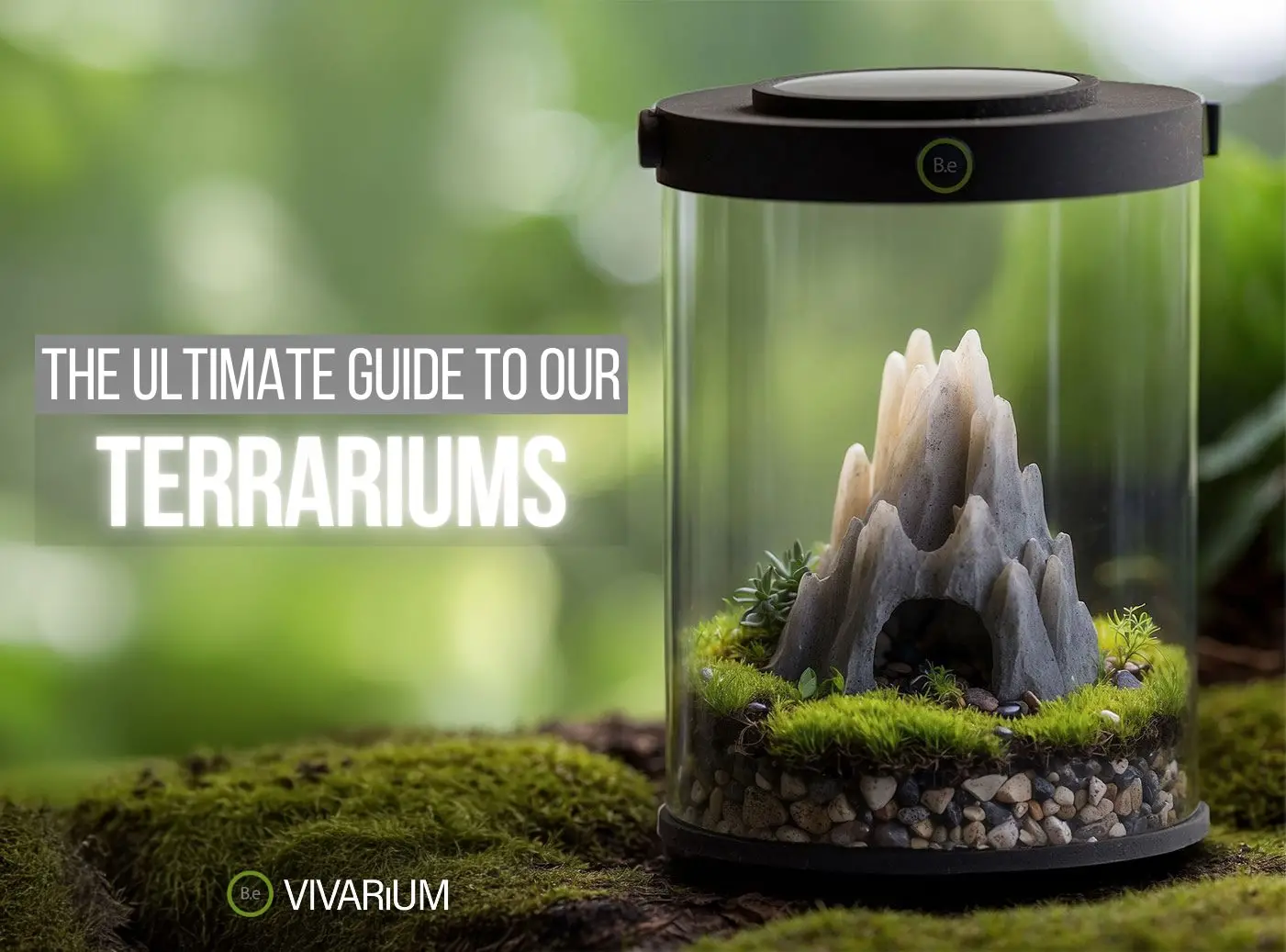 A Complete Terrarium Guide: How To Build Your Own Ecosystem