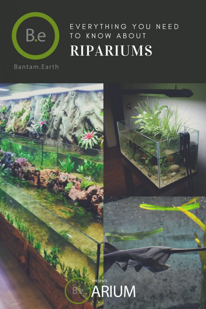 Riparium: The Ultimate Guide & "How To" Build | Bantam.Earth