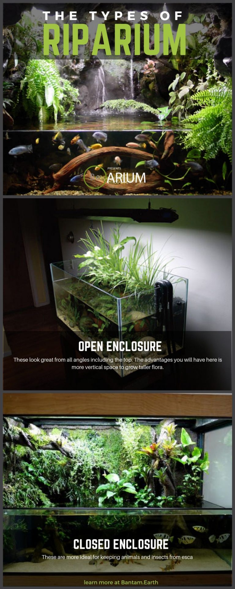 Riparium: Complete Care Guide & "How To" Build | Bantam.Earth