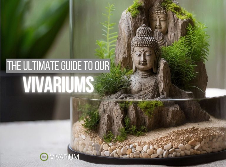 What Is A Vivarium? A Beginner's Guide To Miniature Ecosystems