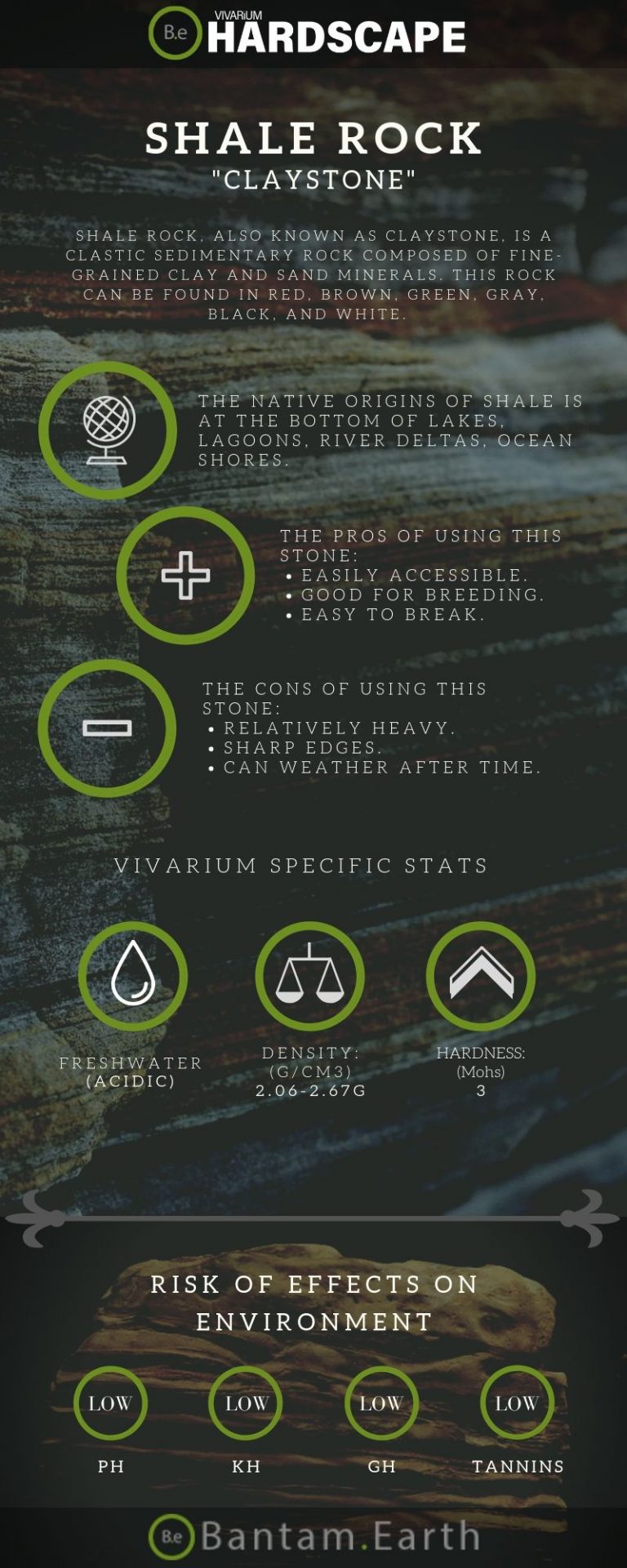 Shale Rock "Claystone" Aquascape | Hardscaping Guide