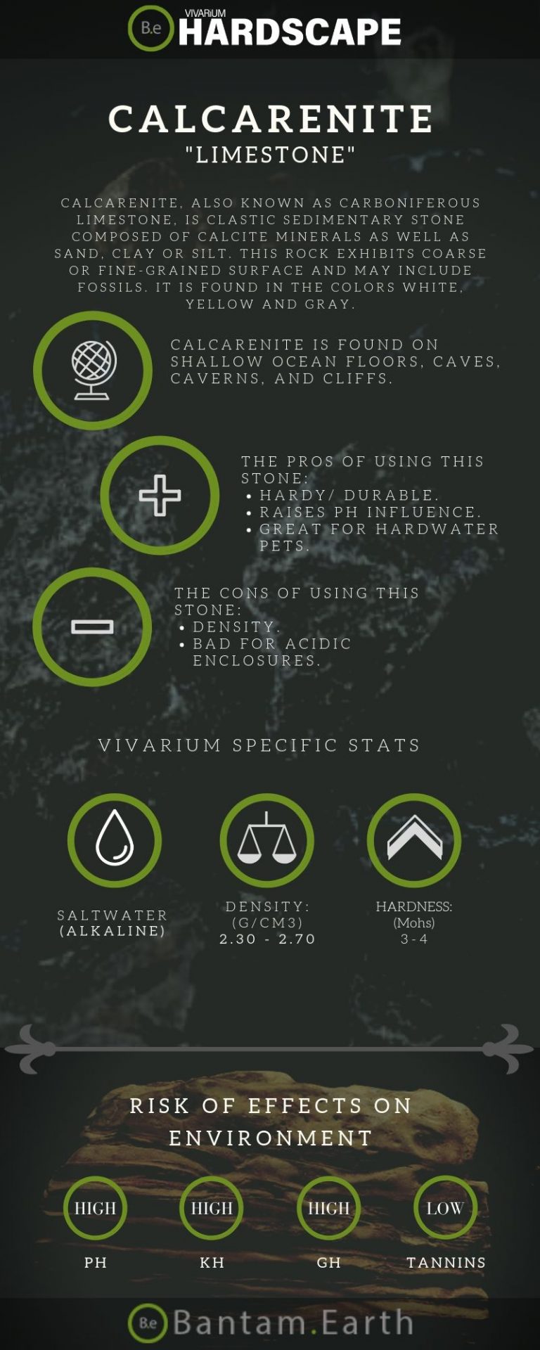 Limestone "Calcarenite Rock" Aquascape | Hardscaping Guide