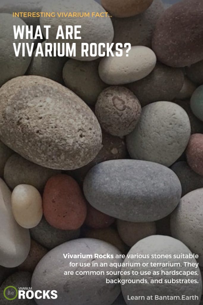 Vivarium Rocks: The Definitive Guide & Complete List | Bantam.Earth
