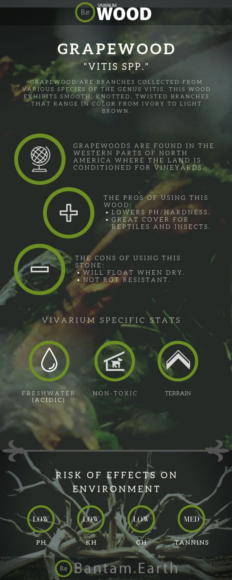 Grapewood Branches "Grapevine" Aquascape | The Driftwood Guide