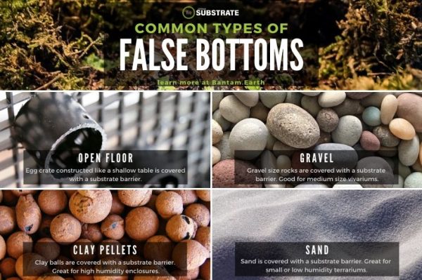 False Bottoms | The Definitive Guide To Vivarium Drainage Layers