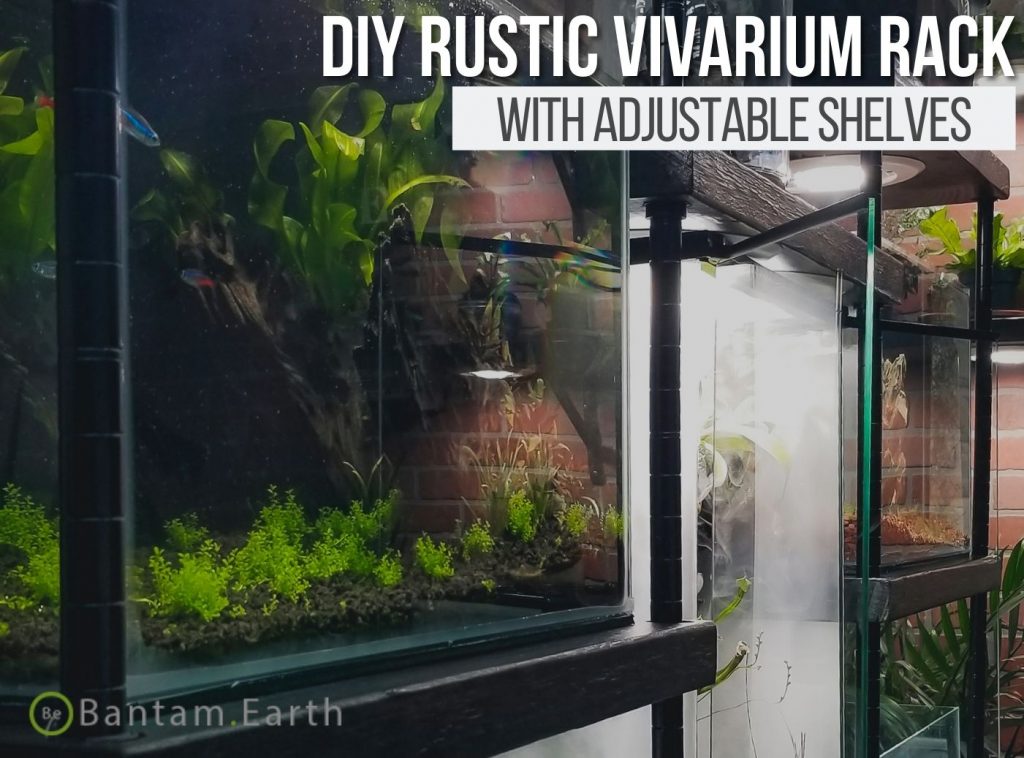 Rustic DIY Vivarium Rack With Adjustable Shelves - Bantam.Earth