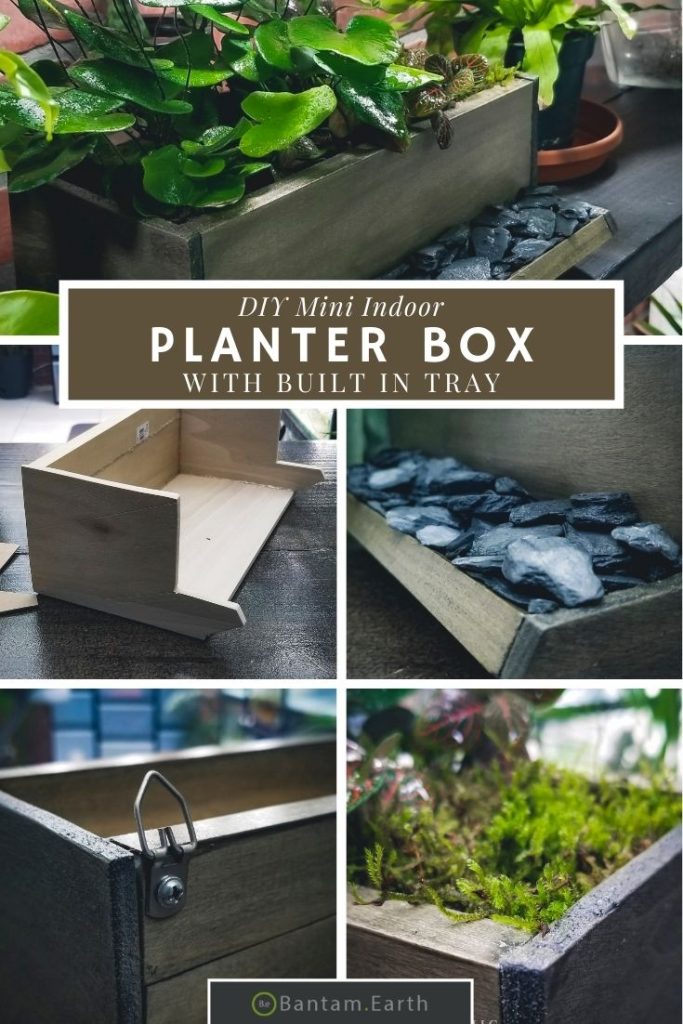 DIY Mini Indoor Planter Box With Built In Drainage Tray - Bantam.Earth