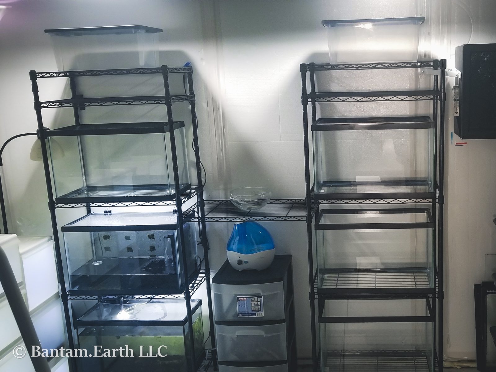 Rustic DIY Vivarium Rack With Adjustable Shelves - Bantam.Earth