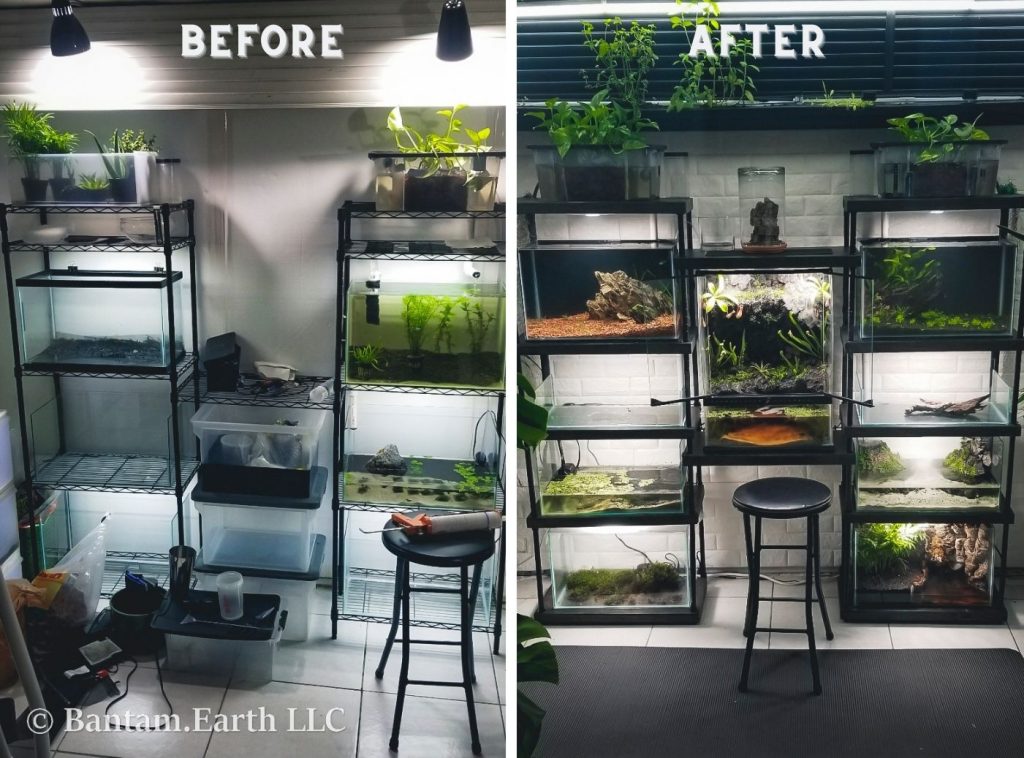 Rustic DIY Vivarium Rack With Adjustable Shelves - Bantam.Earth