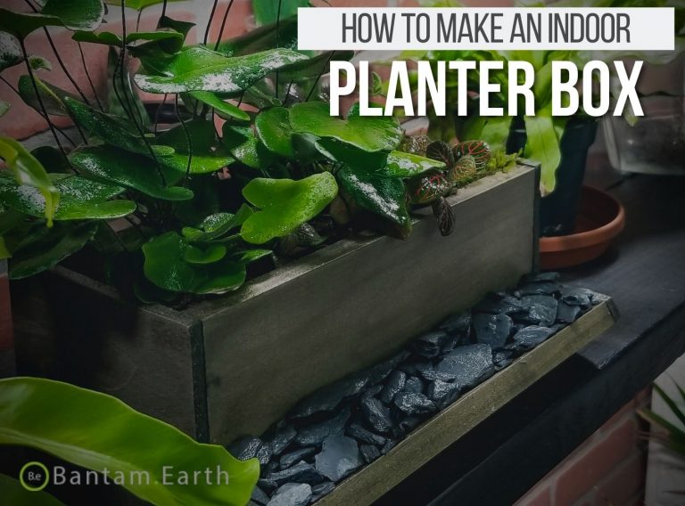 DIY Mini Indoor Planter Box With Built In Drainage Tray - Bantam.Earth