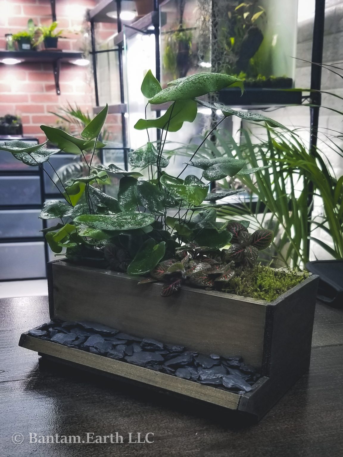 DIY Mini Indoor Planter Box With Built In Drainage Tray - Bantam.Earth