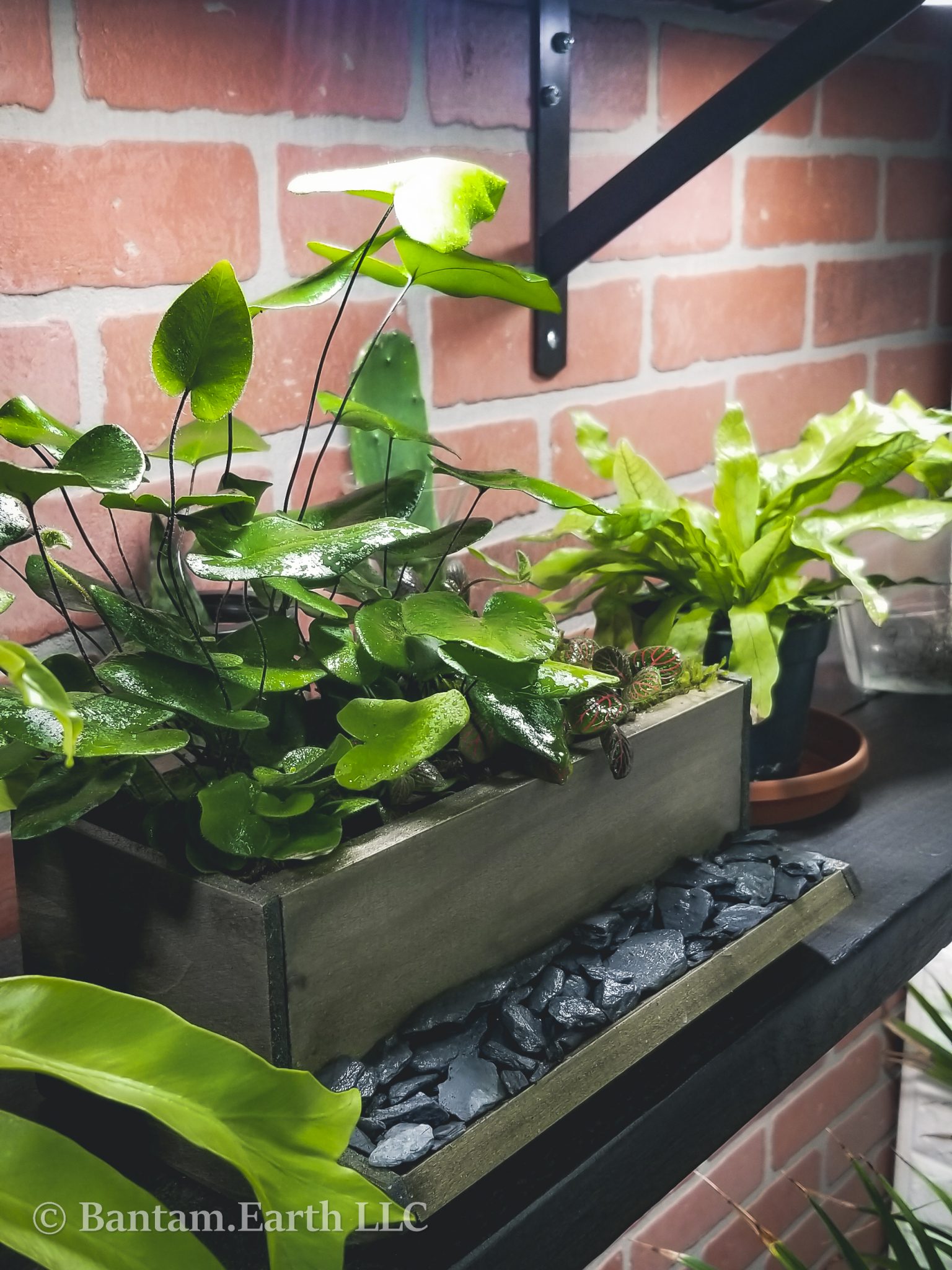 DIY Mini Indoor Planter Box With Built In Drainage Tray - Bantam.Earth