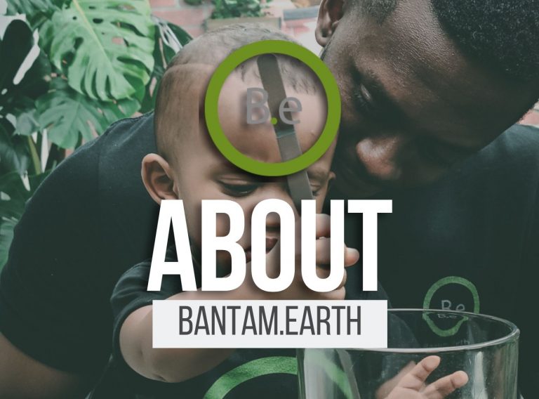 Explore Various Types Of Vivariums | Ariums | Bantam.Earth