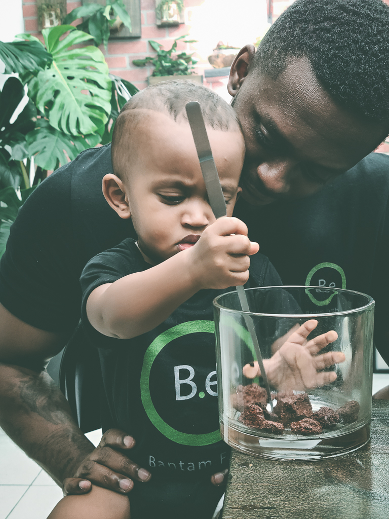 What is Bantam.Earth About?