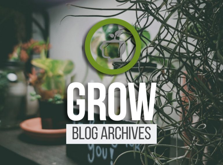 Riparium: Complete Care Guide & "How To" Build | Bantam.Earth