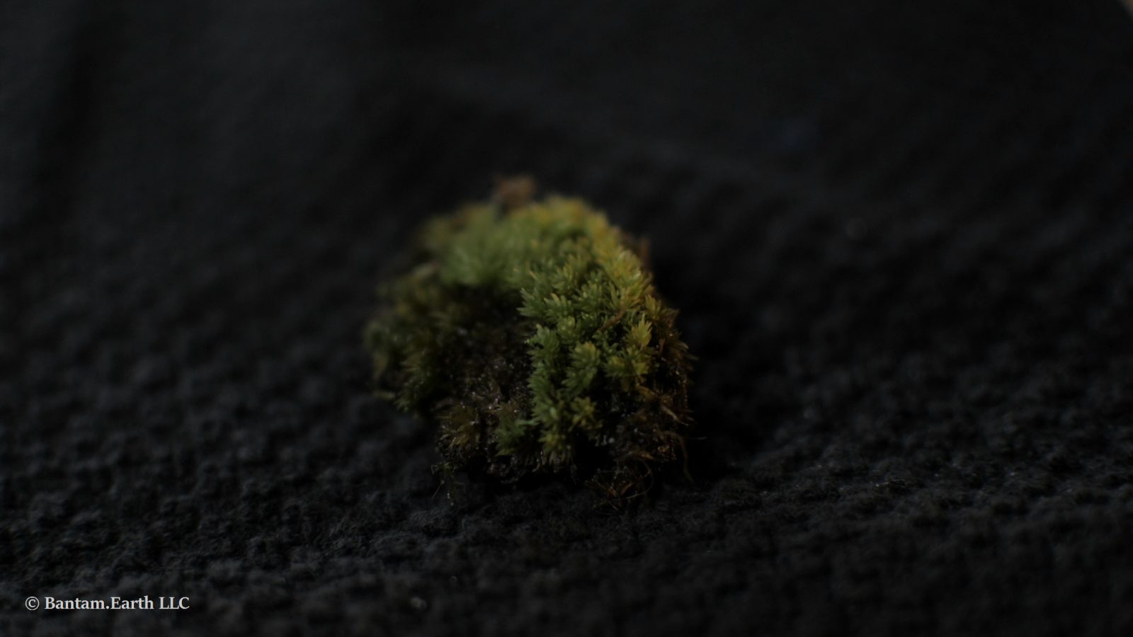 DIY Mini Desert Terrarium | A Simple Technique For A Realistic Look