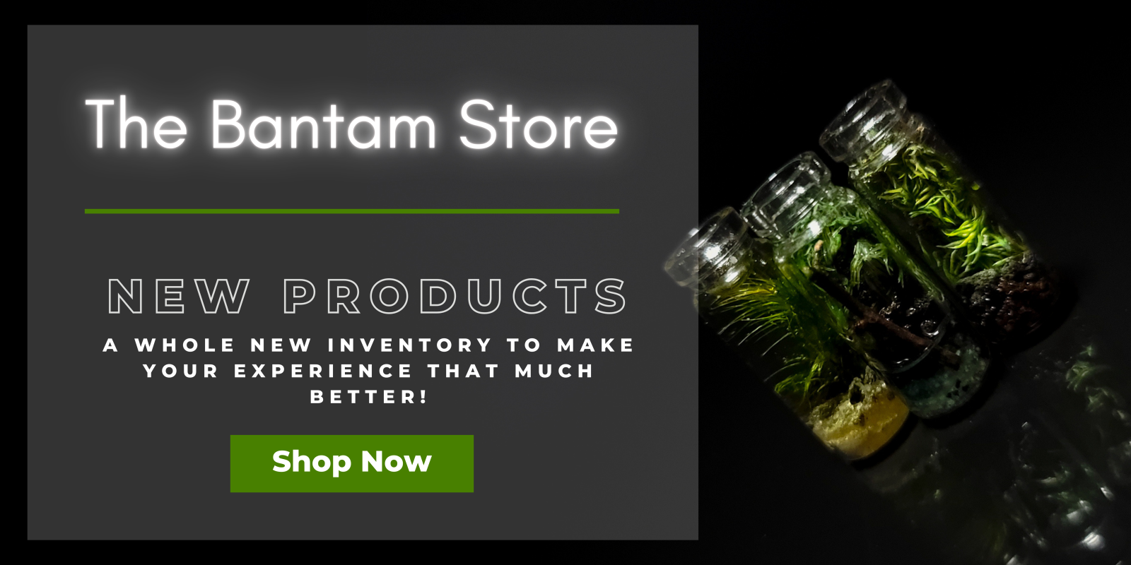 Mossarium: Complete Care Guide & "How To" Build | Moss Terreriums