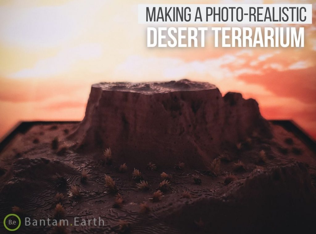 DIY Mini Desert Terrarium | A Simple Technique For A Realistic Look