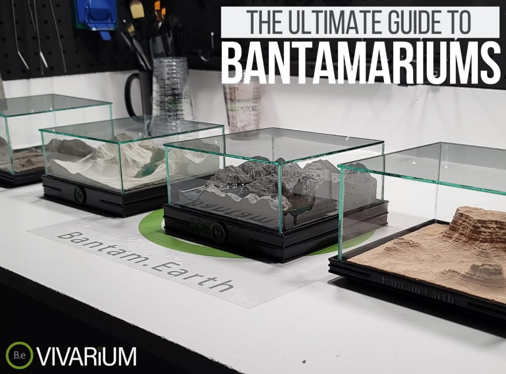 Making A Photo-Realistic Mini Rocky Cliff Terrarium - Bantam.Earth
