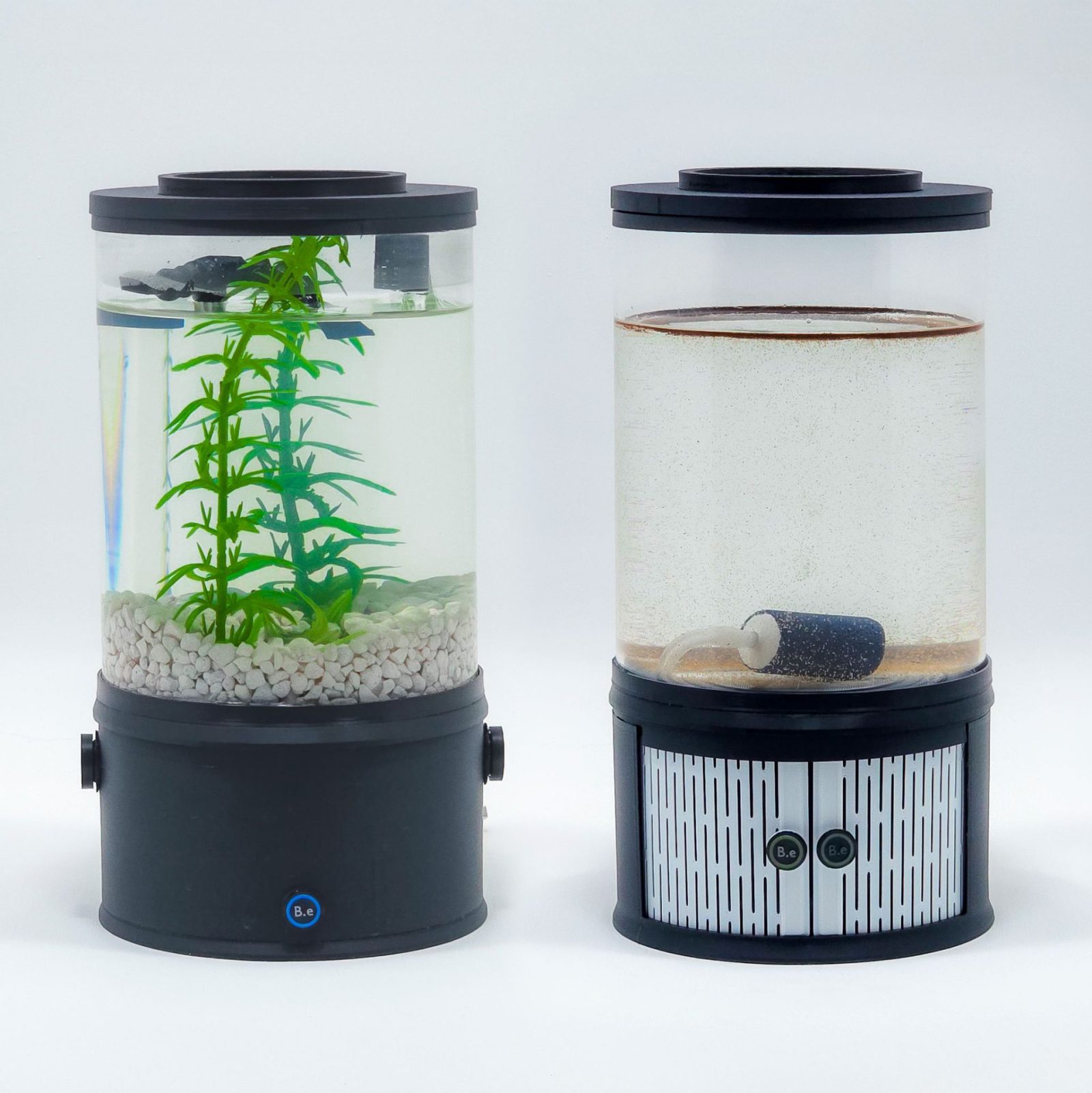 What Is A Vivarium? A Beginner's Guide To Miniature Ecosystems