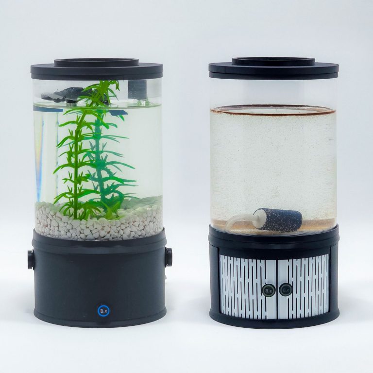 What Is A Vivarium? A Beginner's Guide To Miniature Ecosystems