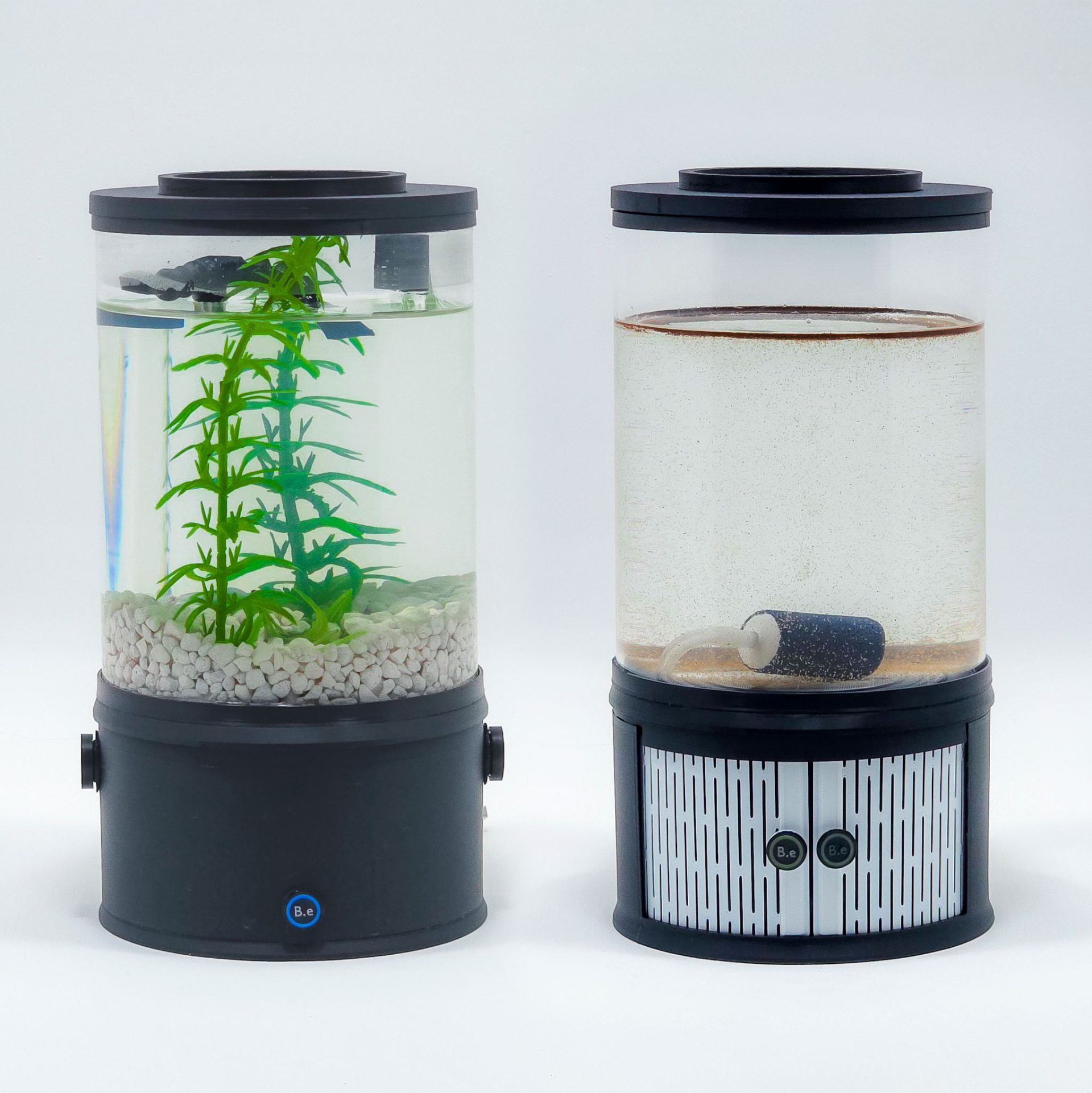 What Is A Vivarium? A Beginner's Guide To Miniature Ecosystems