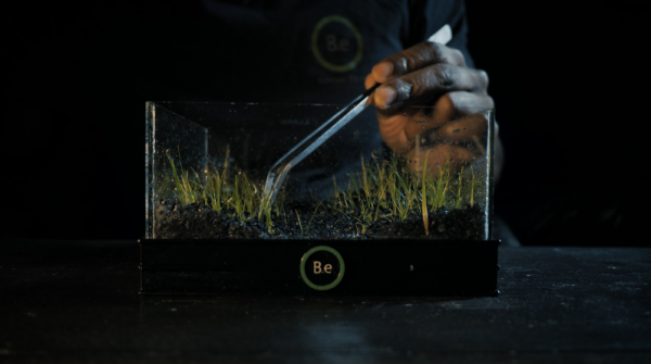 Using Halloween Aquarium Decor To Make A Cult Horror Riparium