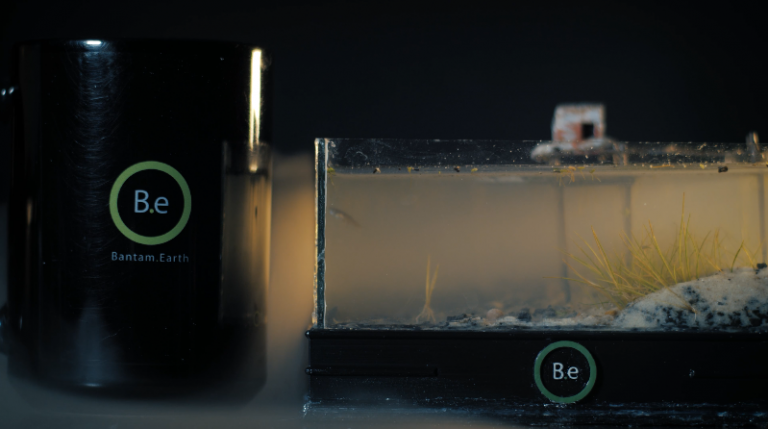 Using Halloween Aquarium Decor To Make A Cult Horror Riparium