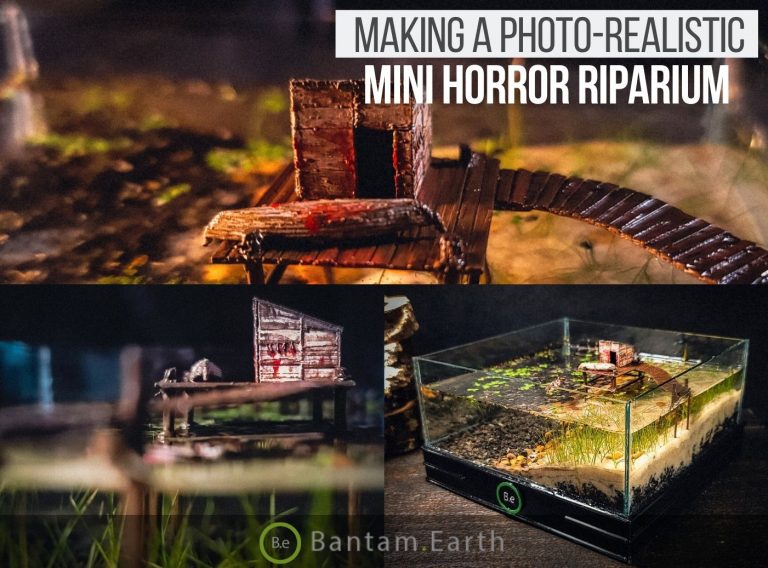 Using Halloween Aquarium Decor To Make A Cult Horror Riparium