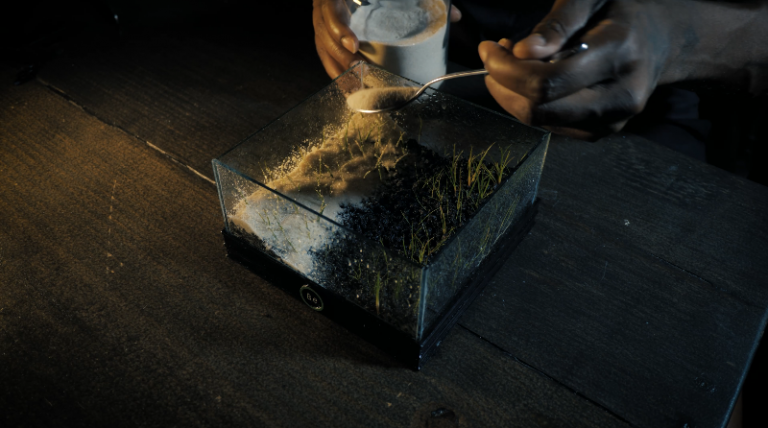 Using Halloween Aquarium Decor To Make A Cult Horror Riparium