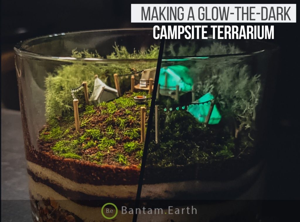 DIY Glow-In-The-Dark Terrarium With A Miniature Campsite
