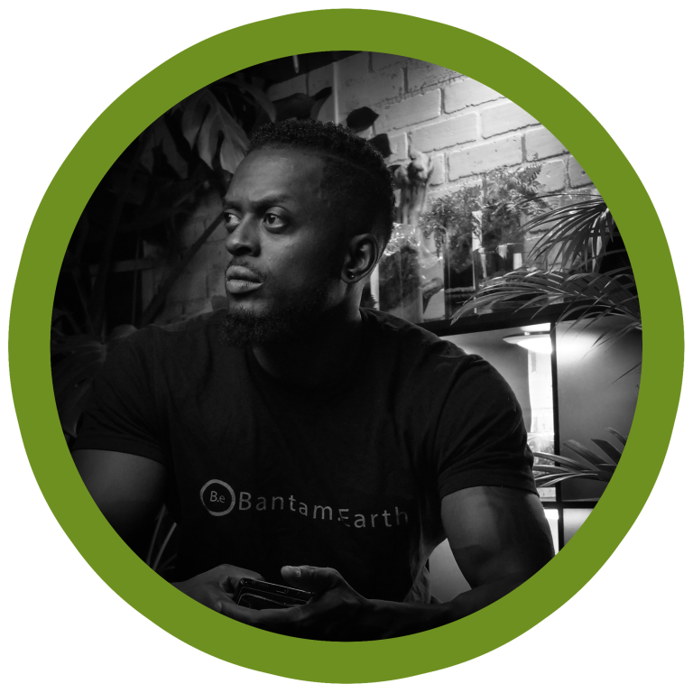 Simple DIY Feeder Fish Breeding Setup & Care Guide - Bantam.Earth