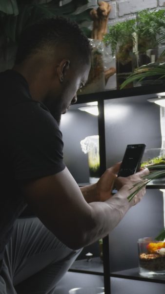 What Is Bantam.Earth About?