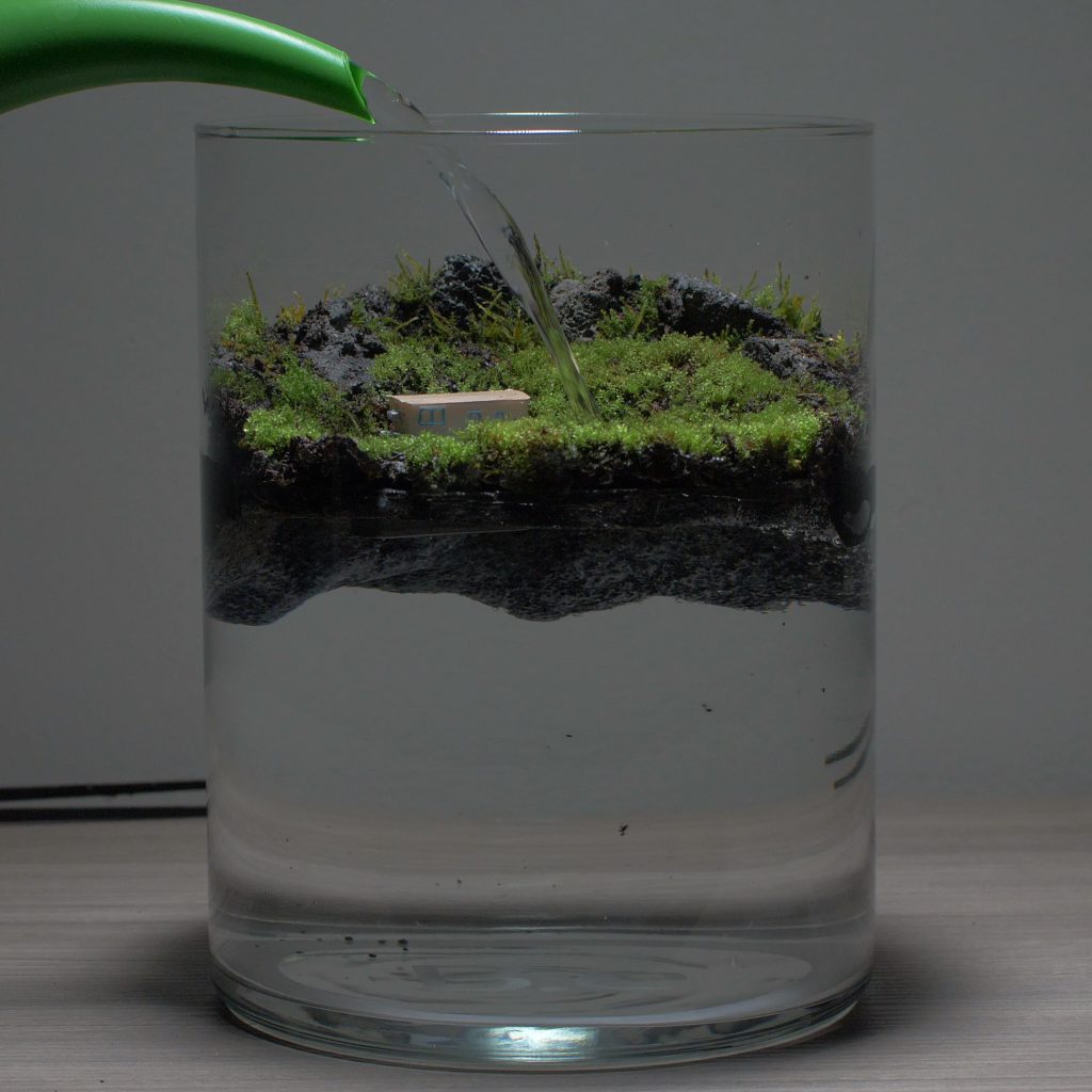 Making A Mini Upside-Down Fish Tank | Bantam.Earth