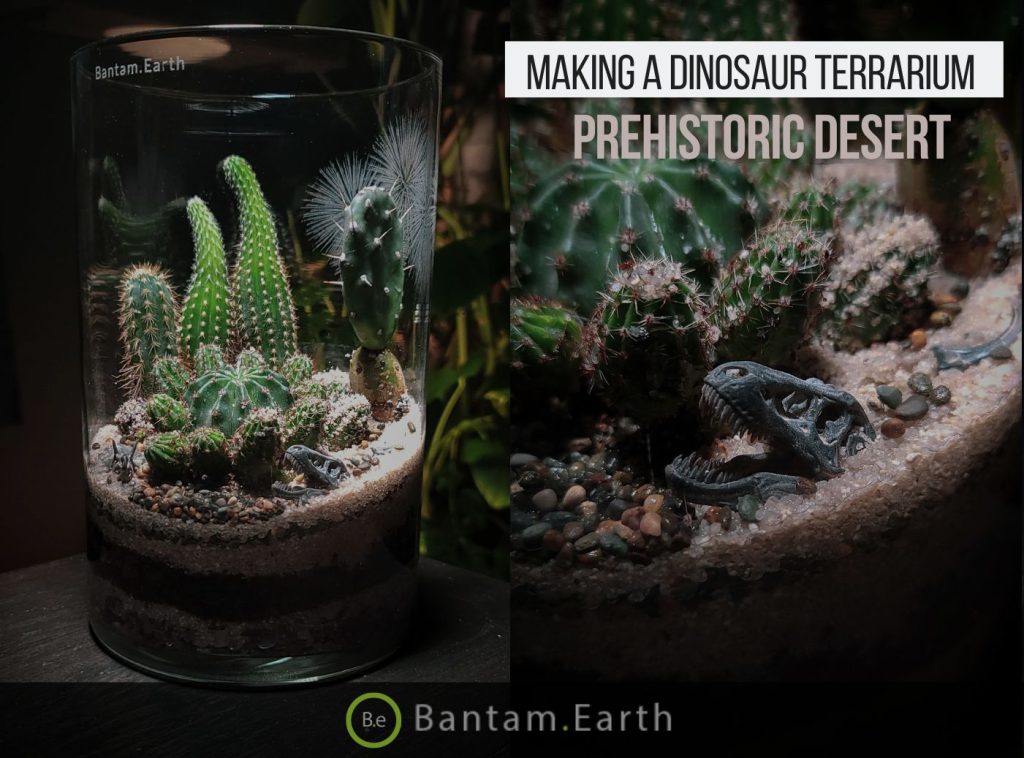 Bantam.Earth | Reimaging Home Decor With Nature...