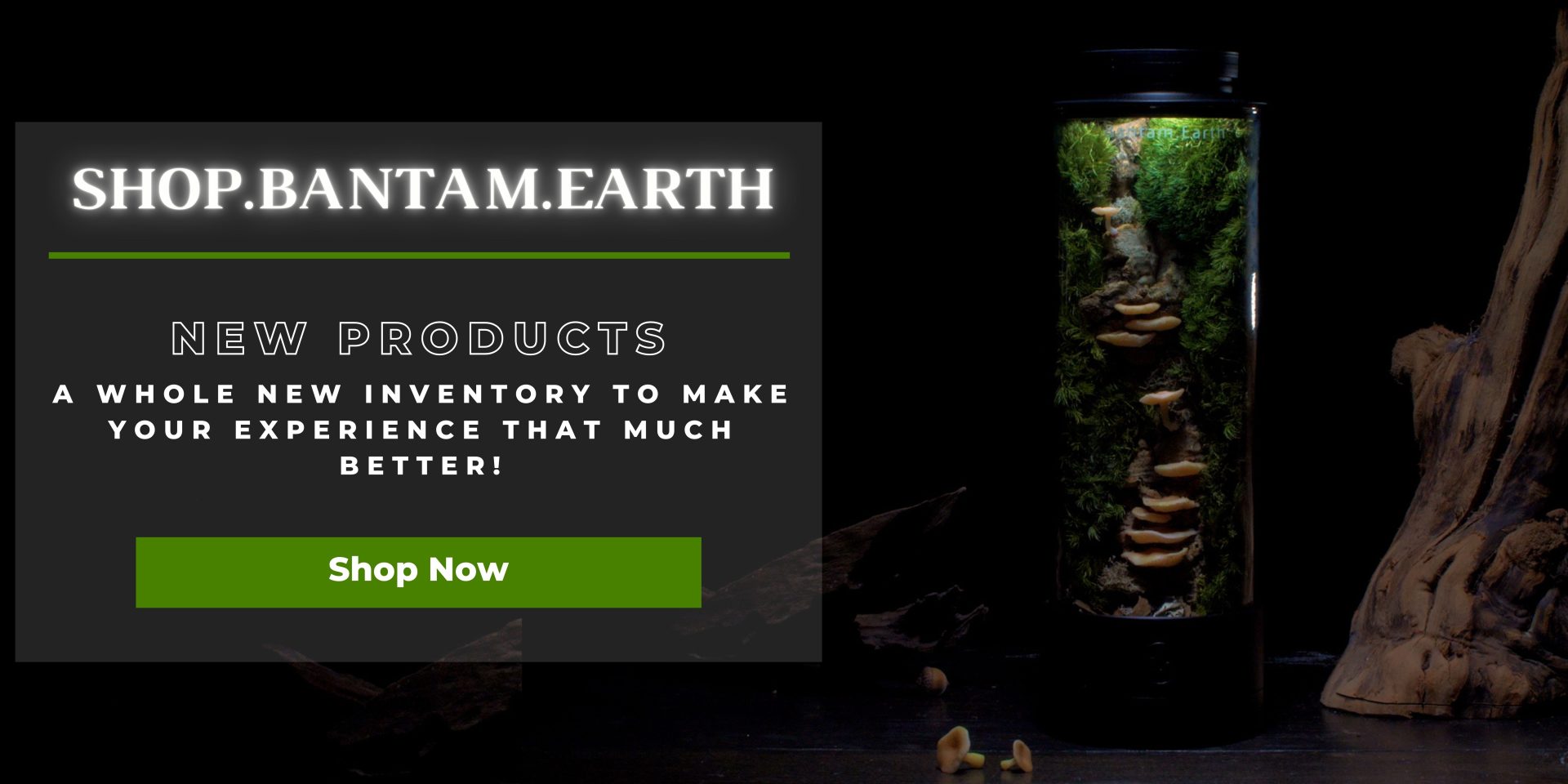 Bantam.Earth | Reimaging Home Decor With Nature...