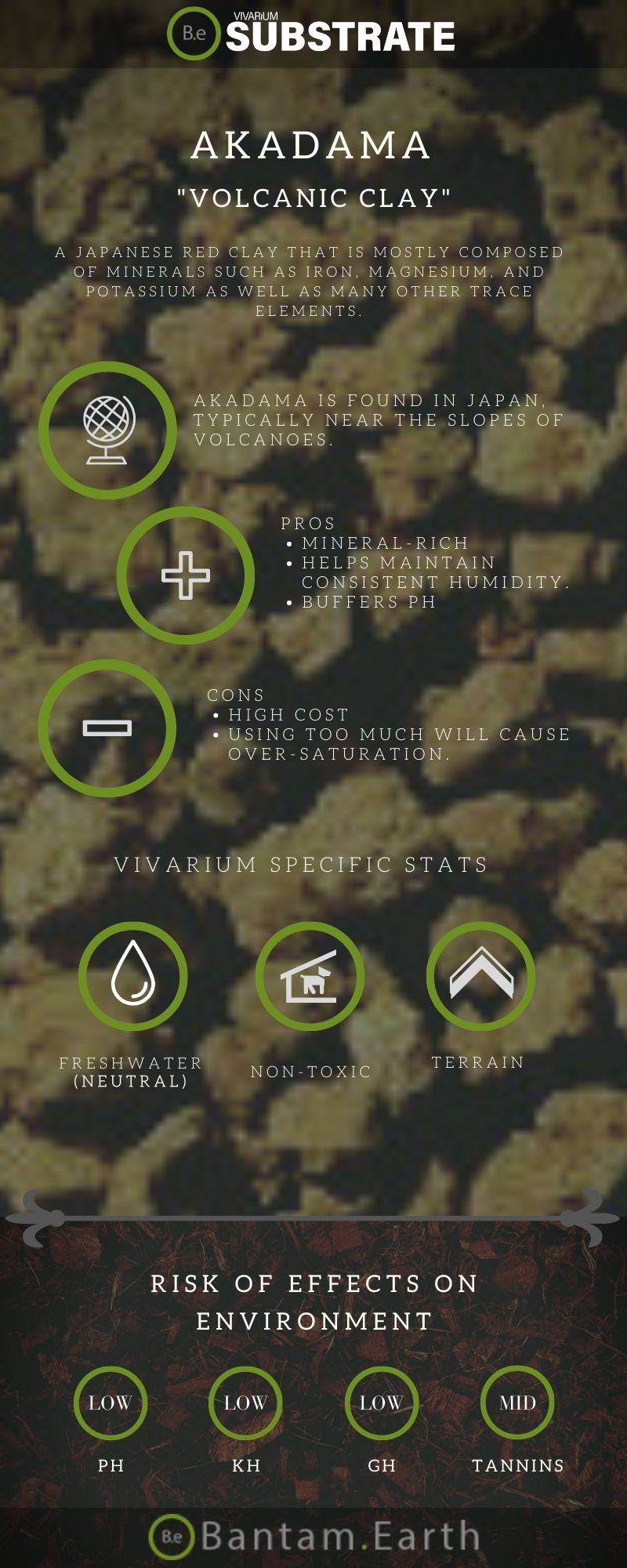 A Complete Guide To Akadama Soil "Volcanic Clay" For Terrariums