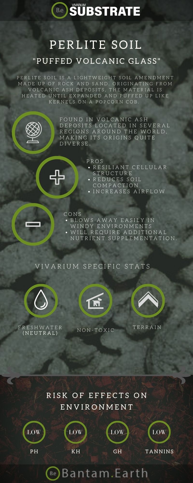 A Complete Guide To Perlite Soil (Volcanic Glass) For Terrariums