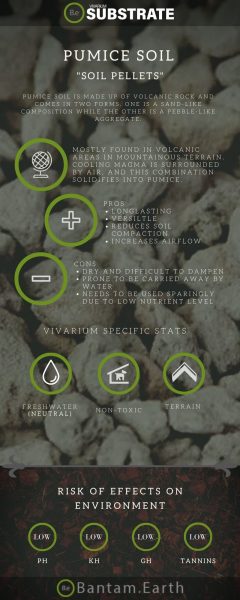 A Complete Guide To Pumice Soil "Soil Pellets" For Terrariums