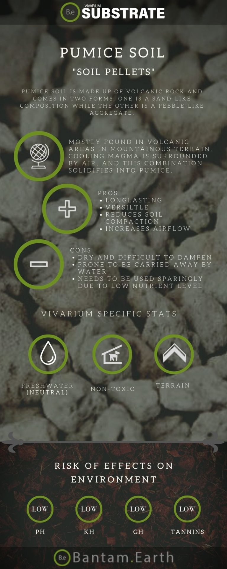 A Complete Guide To Pumice Soil "Soil Pellets" For Terrariums