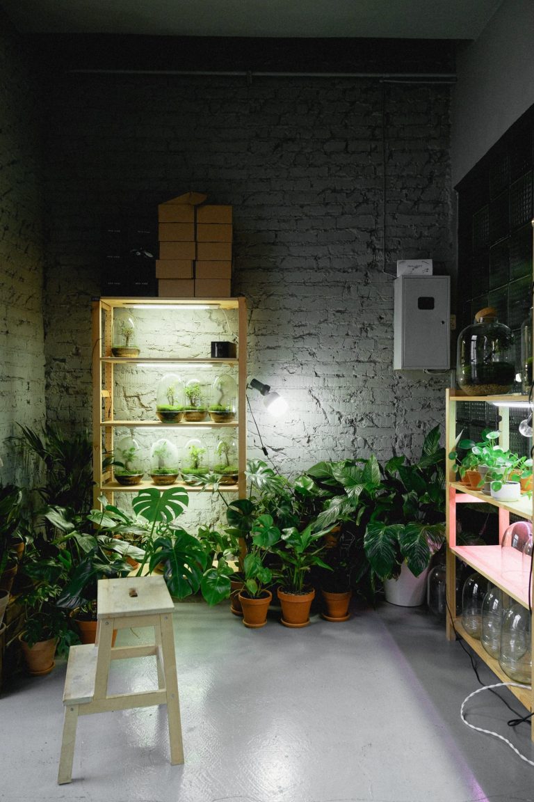 Terrarium Lighting: The Most Complete Guide