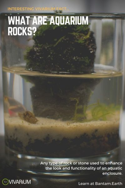 Aquarium Rocks: The Most Definitive Guide | Bantam.Earth