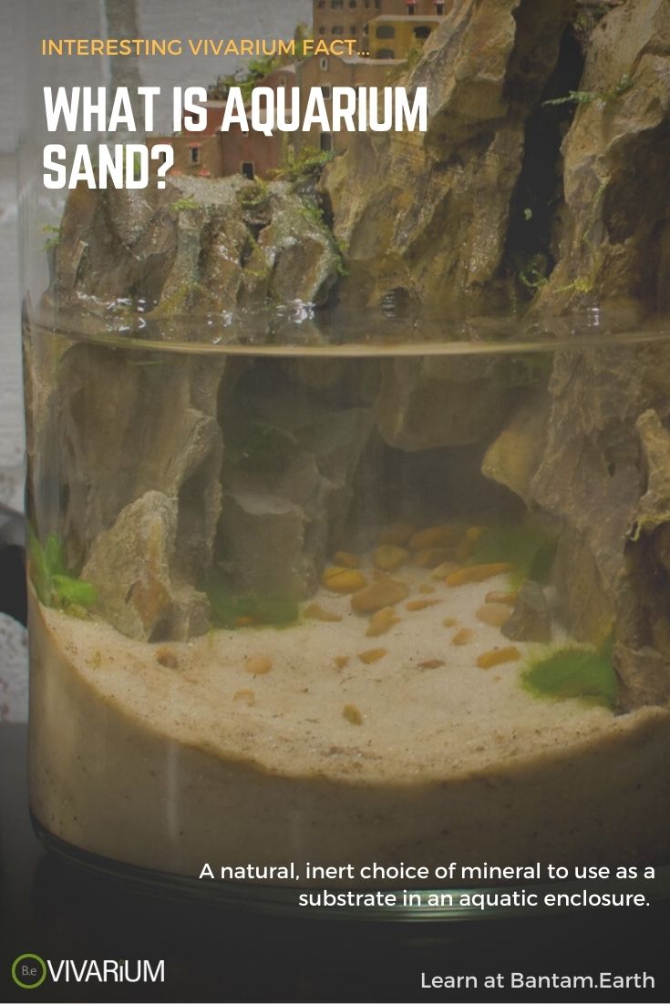 Aquarium Sand: The Most Definitive Guide | Bantam.Earth