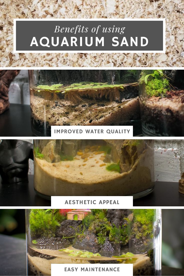 Aquarium Sand: The Most Definitive Guide | Bantam.Earth