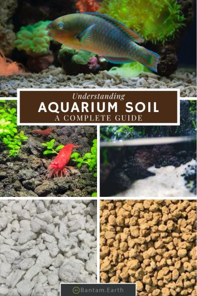 Aquarium Substrate & Soil: The Most Complete Guide