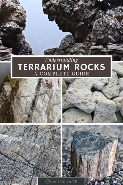 Terrarium Rocks: The Most Definitive Guide | Bantam.Earth