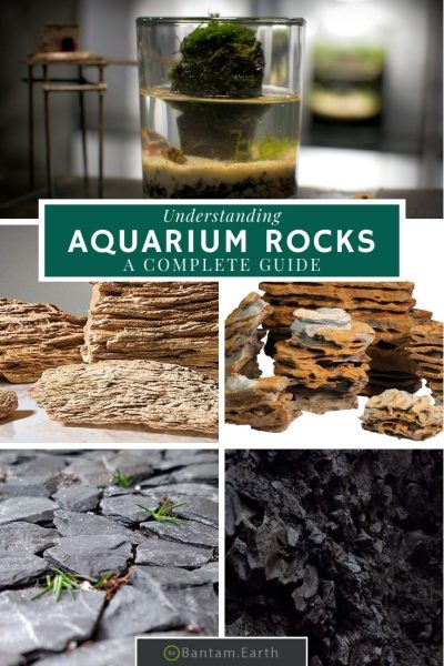 Aquarium Rocks: The Most Definitive Guide | Bantam.Earth